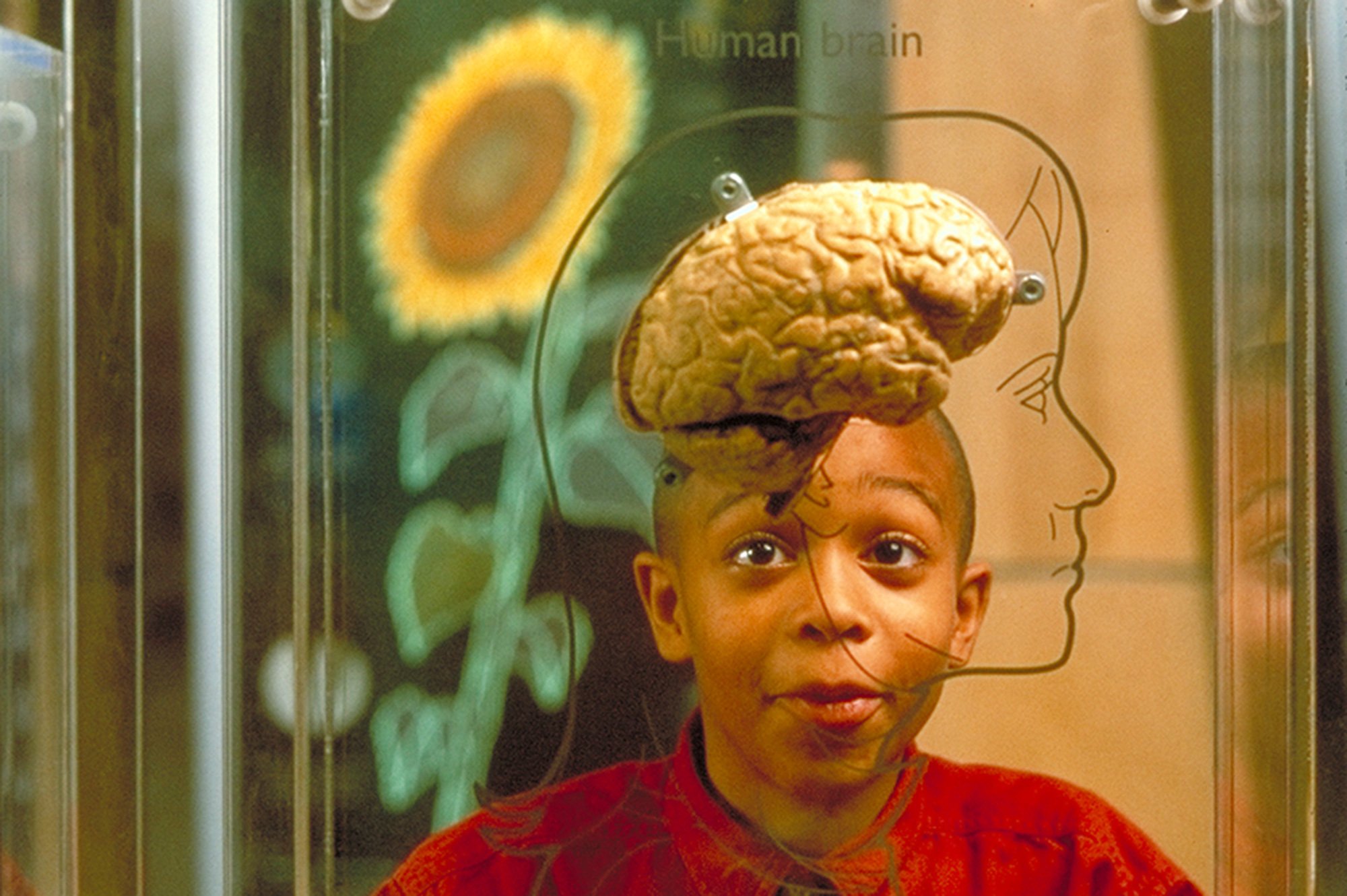 California Science Center | World of Life – West Office