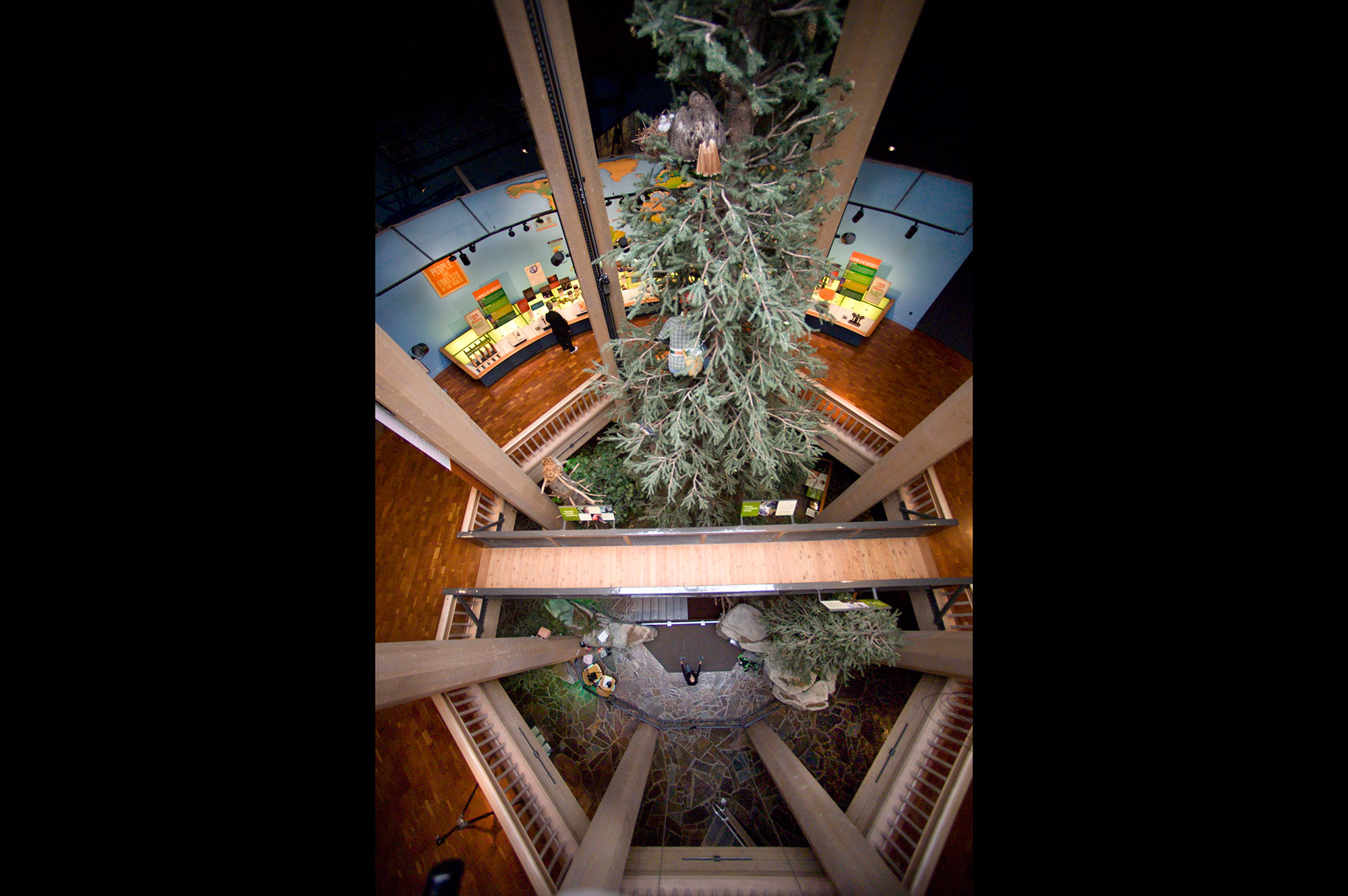 World Forestry Center | Discovery Museum – West Office