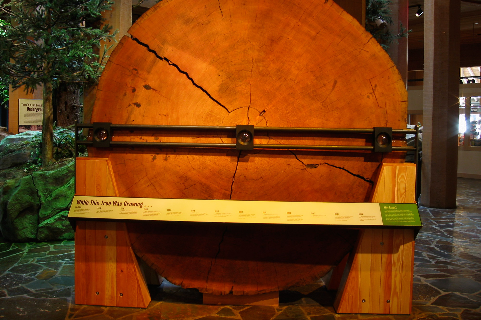 World Forestry Center | Discovery Museum – West Office