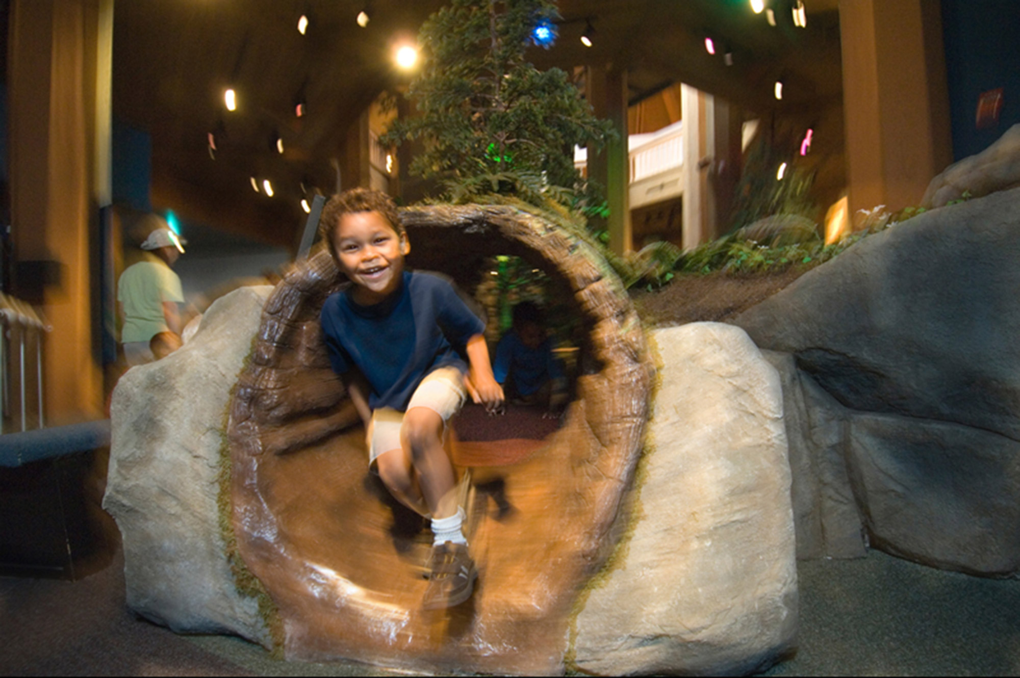 World Forestry Center | Discovery Museum – West Office