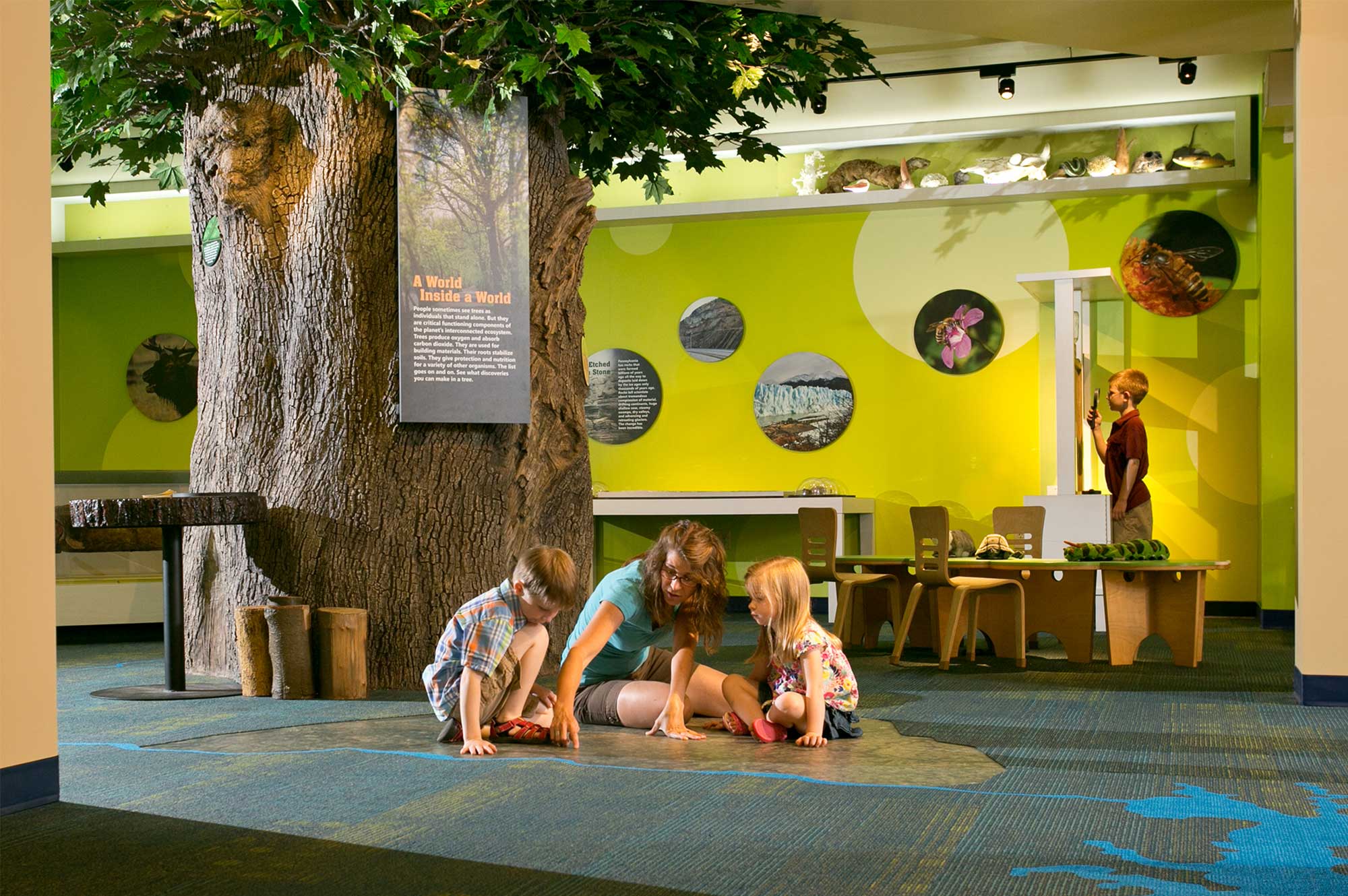 North Museum of Nature and Science | Masterplan, Entry, and Exhibits ...