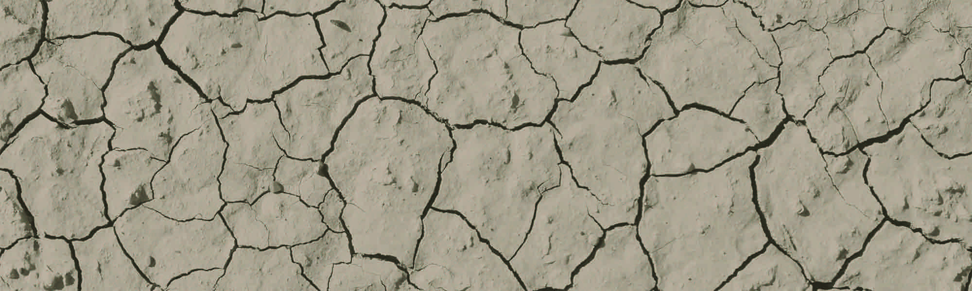 The Story of Topaz – West Office